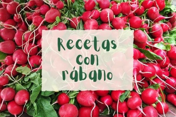 Recetas de rábanos sanas, rápidas y fáciles de hacer